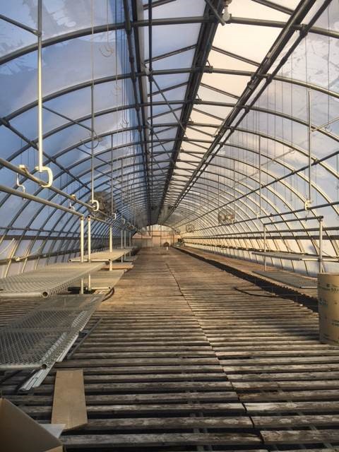 Railex Indoor Farming Solutions - Railex Conveyor Corp.